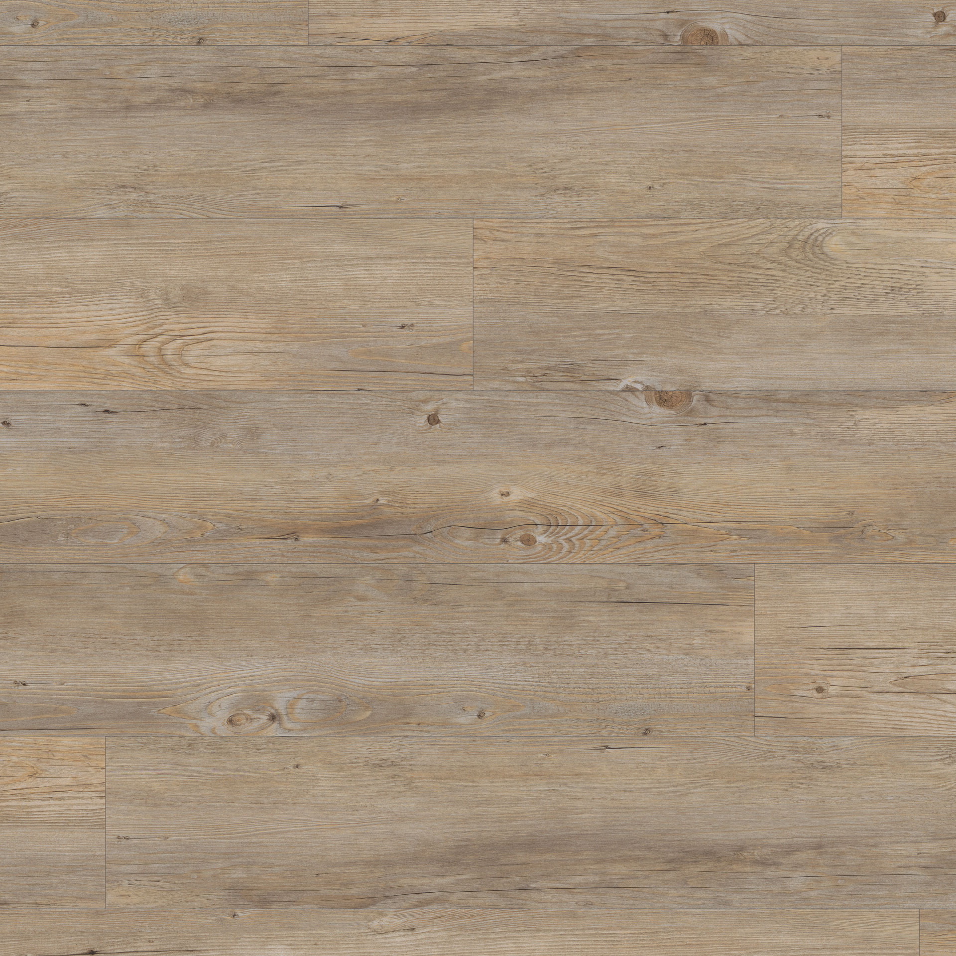 Country Oak VGW81T VGW81T - Frankly Flooring